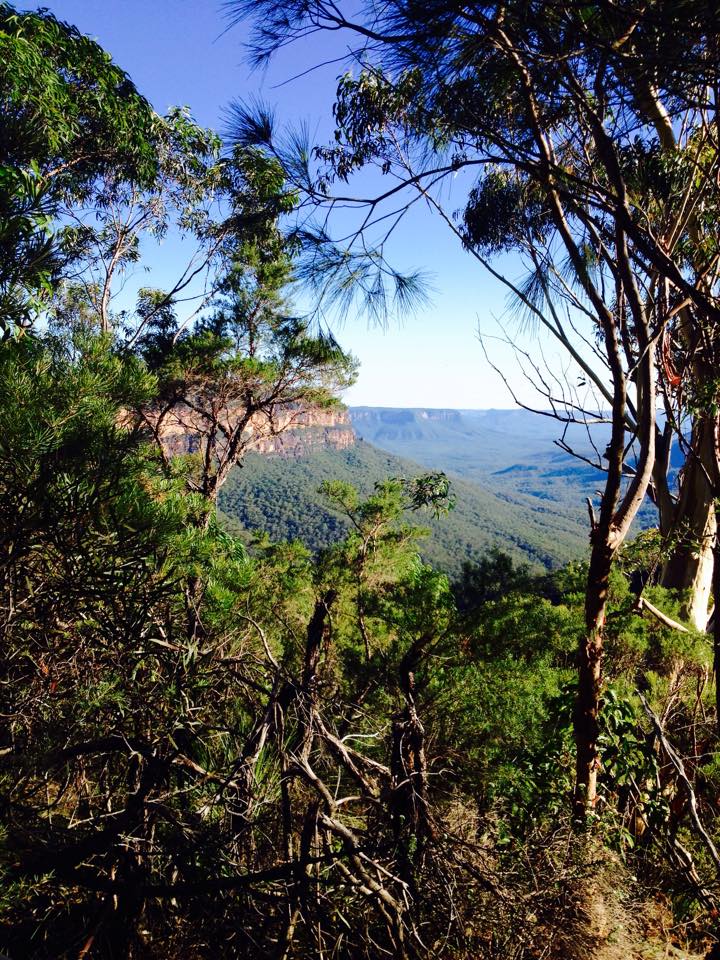 Visitar las Blue Mountains – Gastémonos los pies